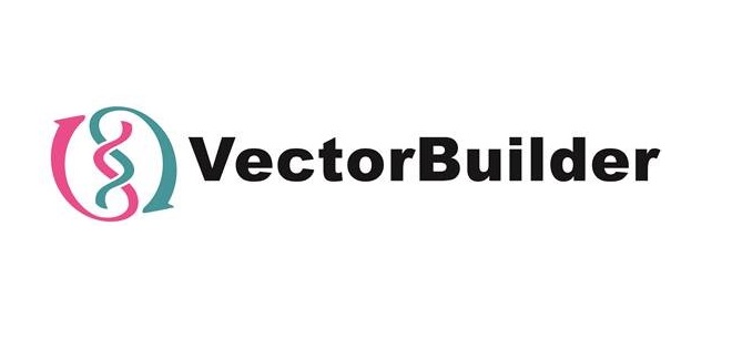 VectorBuilder - 5th Next Generation Gene Therapy Vectors 2025